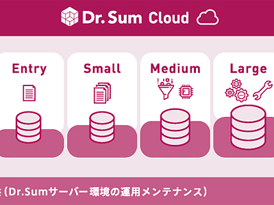 クラウドBIの「Dr.Sum Cloud」に月額15万円の最安価「Entry」ライセンスを追加 | IT Leaders