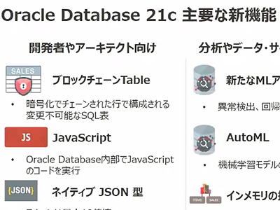 ストアドプロシージャをJavaScriptで記述可能、Oracle Database 21cの新機能を説明 | IT Leaders